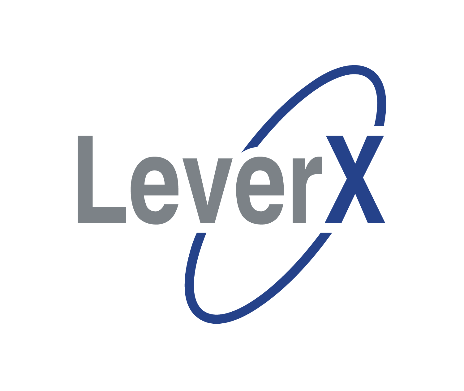 LeverX Review & Company Profile in (May 2024)