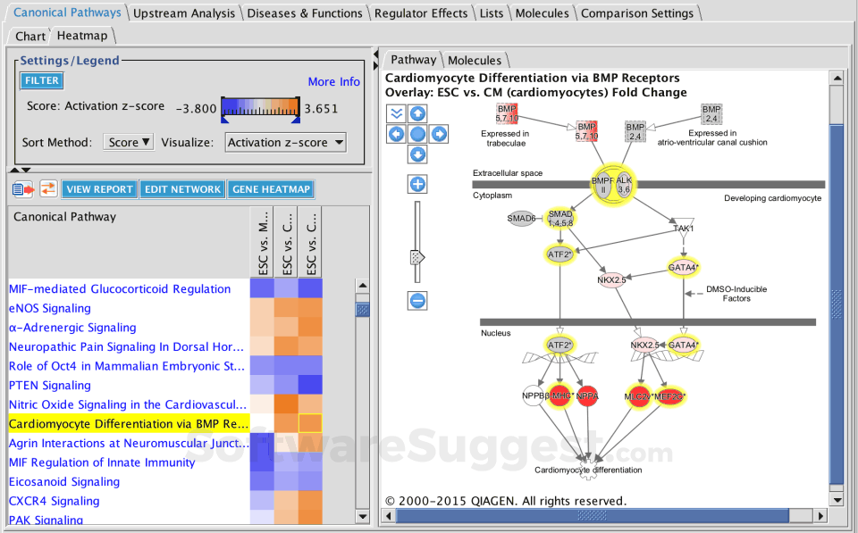 Ingenuity Pathway Analysis - Pricing, Features, and Details in 2025