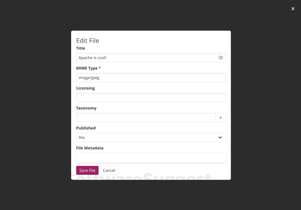 Sling CMS - Pricing, Features, and Details in 2025