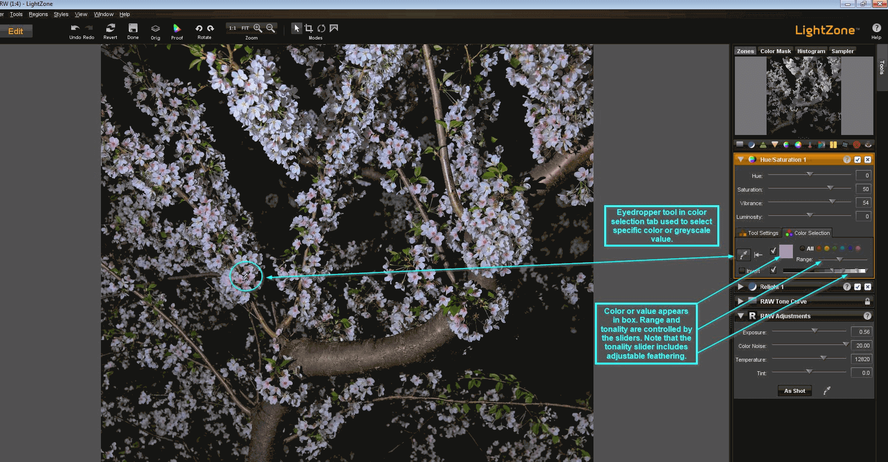LightZone - Pricing, Features, and Details in 2025