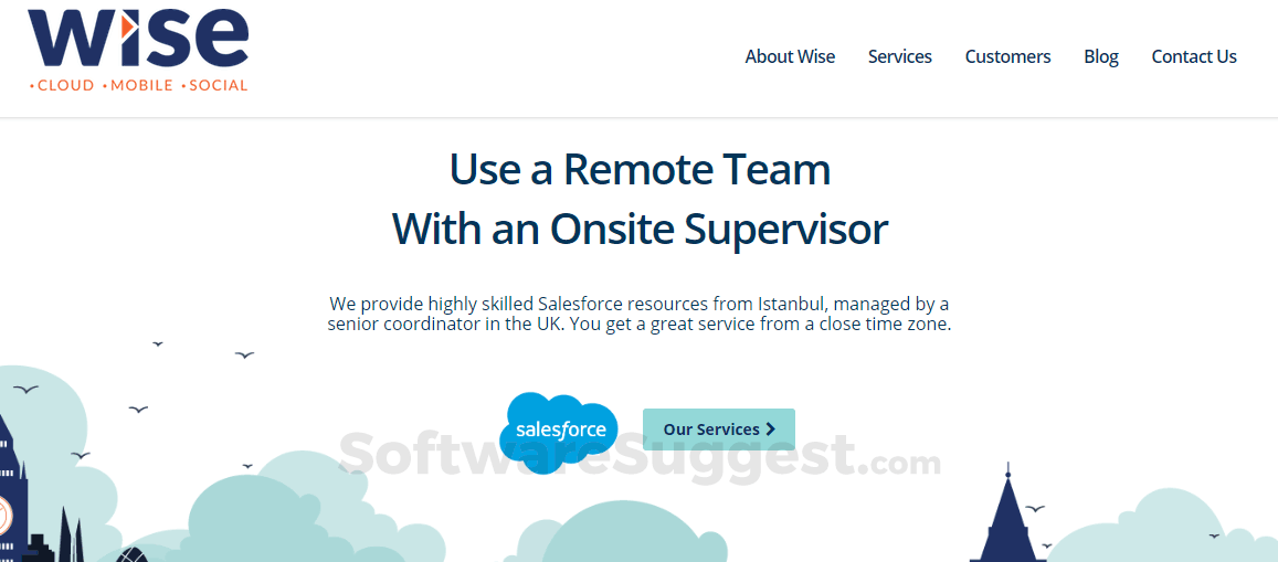 Wise Consulting - Pricing, Features, and Details in 2025