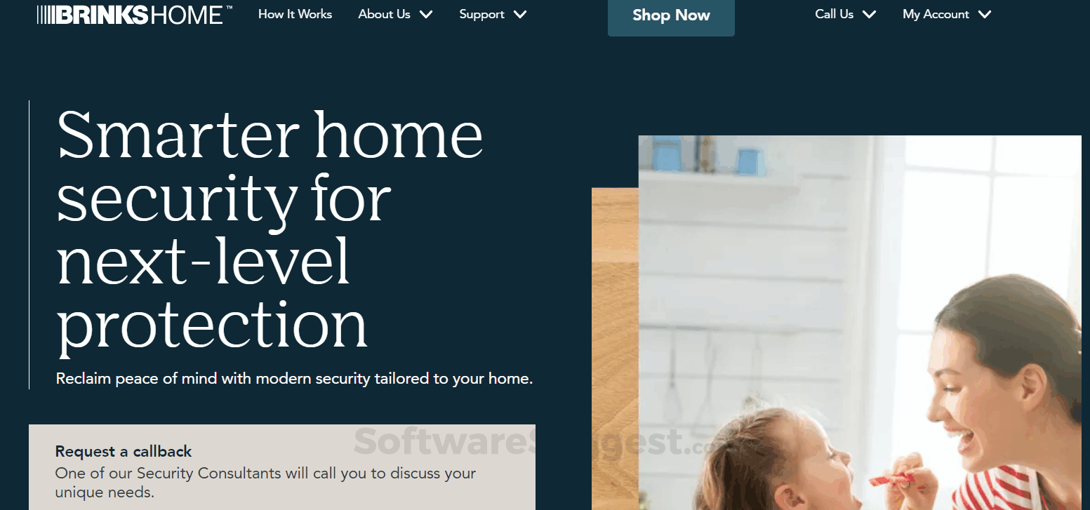 Brinks Home Pricing, Features, and Reviews (Feb 2025)