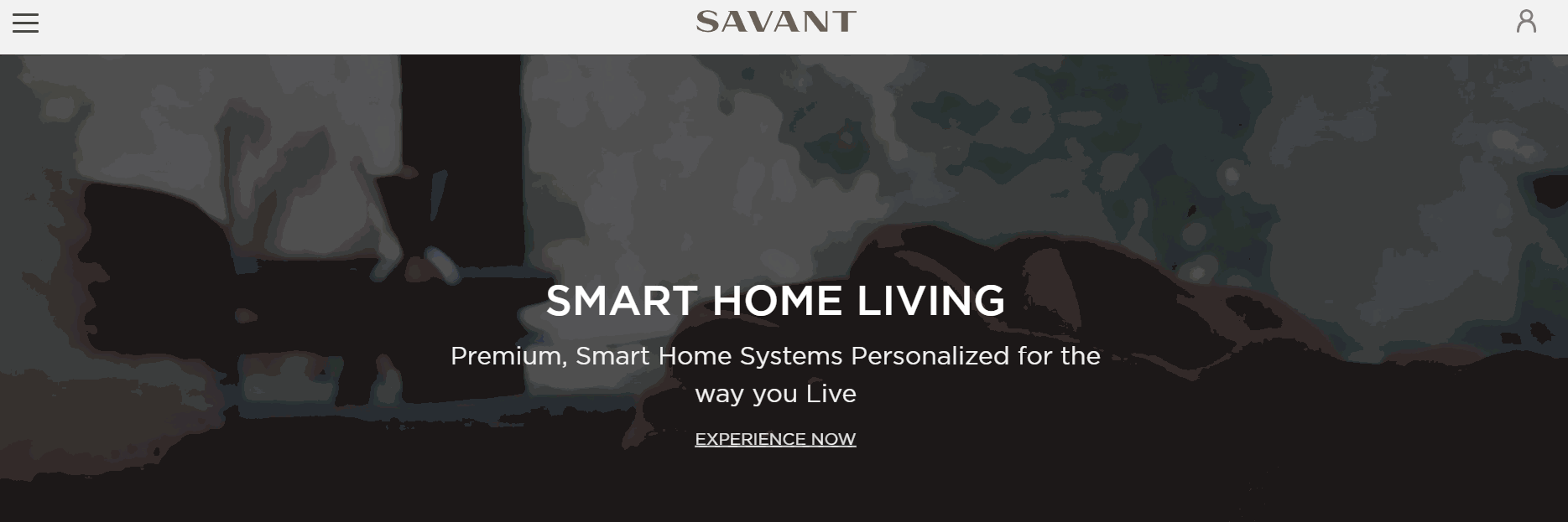 Savant - Pricing, Features, and Details in 2025