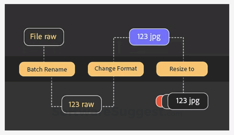 Adobe Bridge - Pricing, Features, and Details in 2025