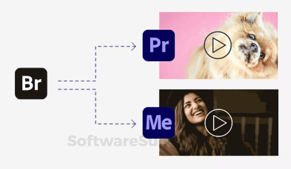 Adobe Bridge - Pricing, Features, and Details in 2025