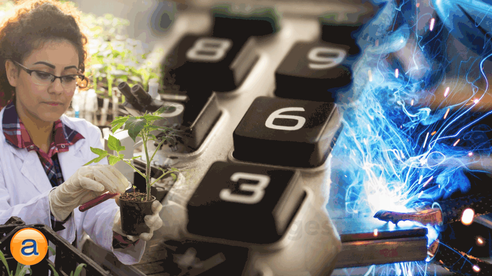 Accentis Enterprise - Pricing, Features, and Details in 2025