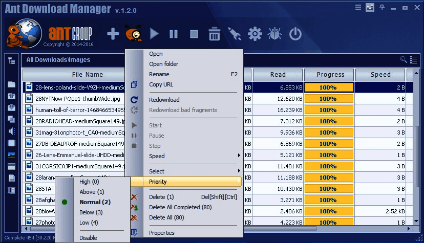 Ant Download Manager - Pricing, Features, and Details in 2025
