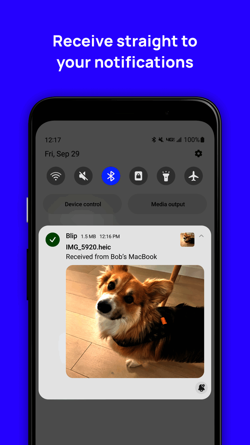Blip Mobile app for iOS and Android Devices in 2025