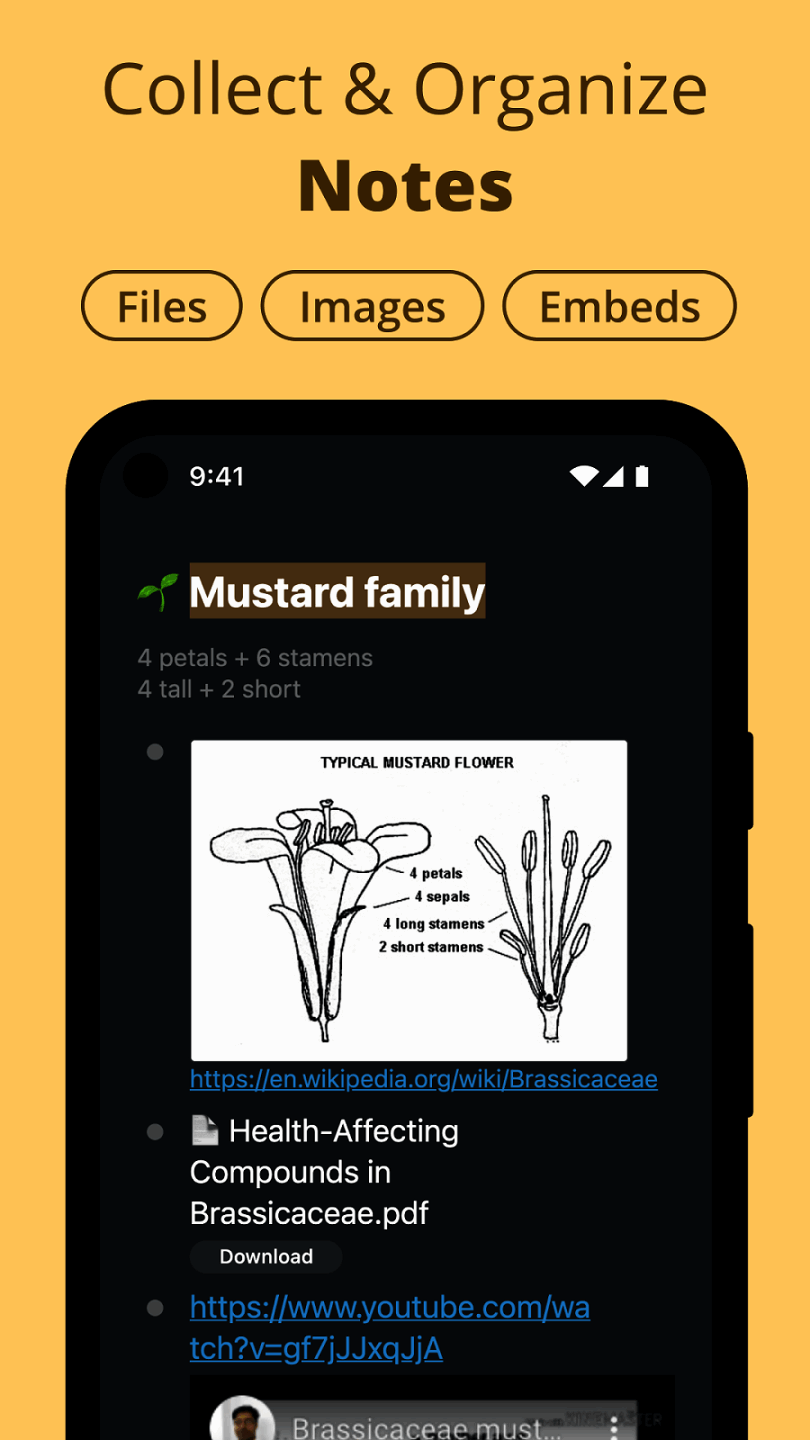 WorkFlowy Mobile app for iOS and Android Devices in 2025